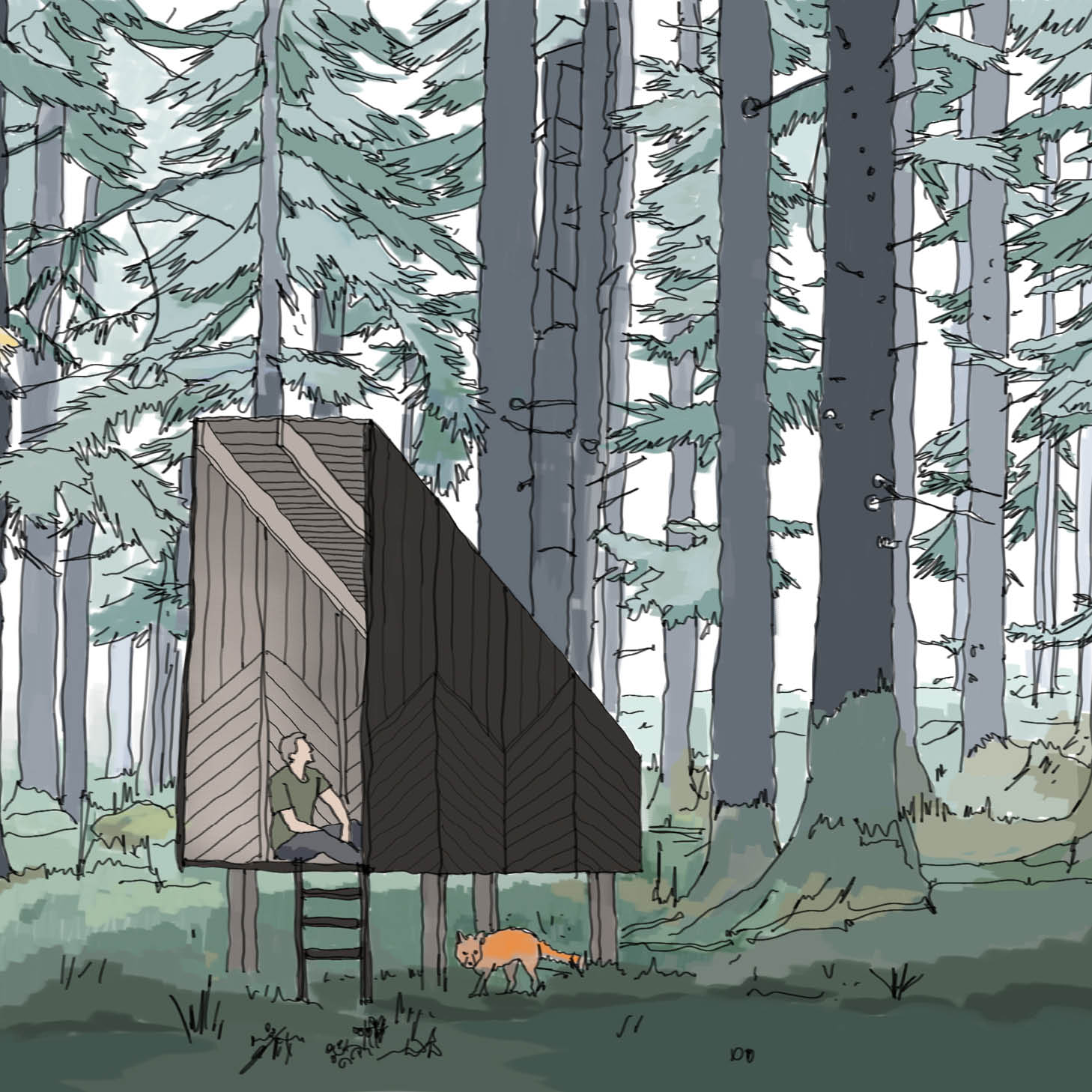 Wildlife Hides School Design Competition | Campbell & Co Architects